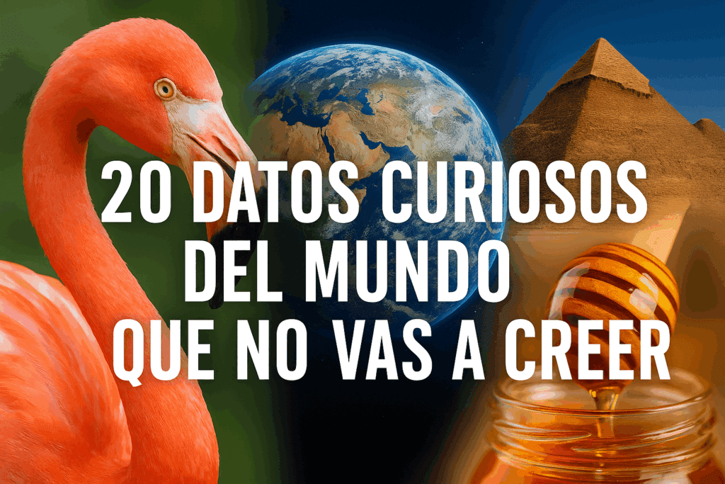 20 Datos Curiosos del Mundo que No Vas a Creer - Vital Blogs